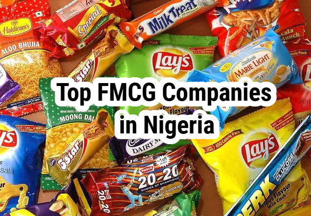 The Top FMCG Companies in Nigeria You Need to Know About » PIECE — WITHIN NIGERIA