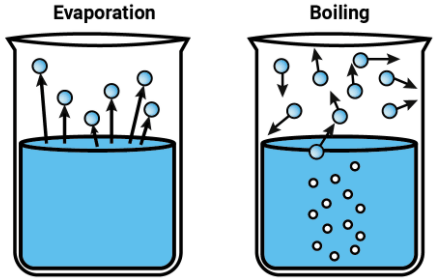 Difference Between Evaporation and Boiling » PIECE — WITHIN NIGERIA