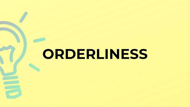 10 Examples of Orderliness in the Society » PIECE — WITHIN NIGERIA