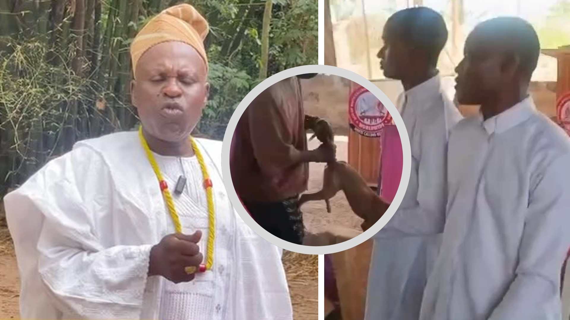 Osun-Osogbo Sacred Grove: God's Name, Human Blunders, Violent Conflict